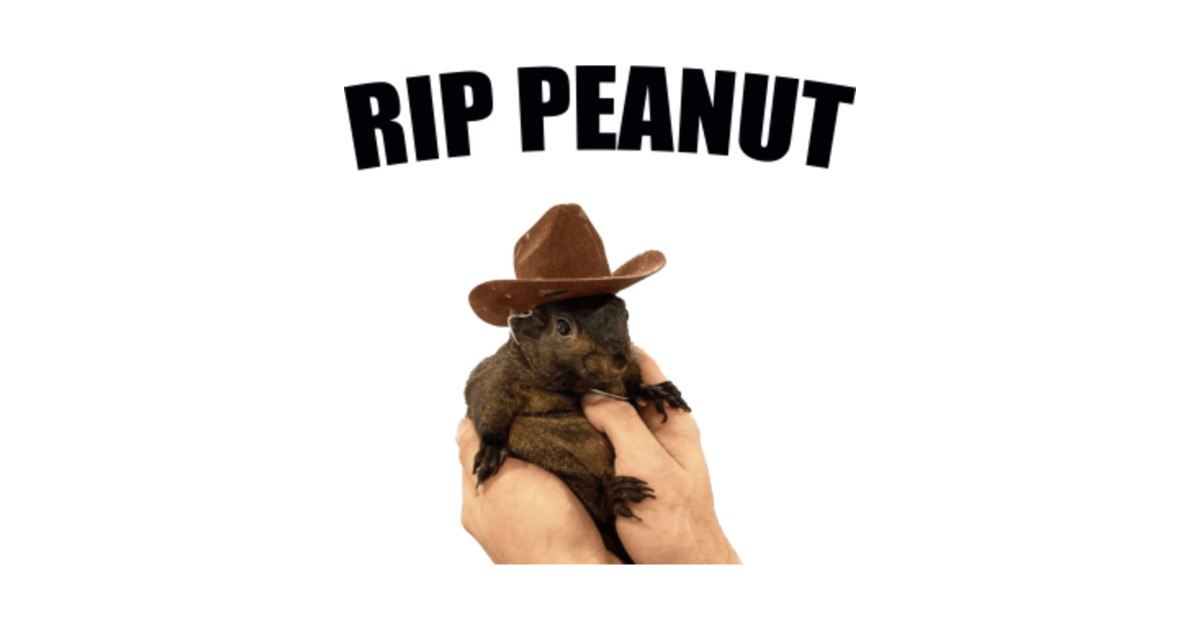 RIP Peanut the Squirrel - Rip Peanut The Squirrel Peanut Funny - T ...