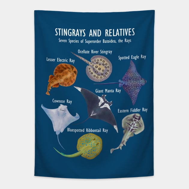 Stingray Species: Manta Ray, River Stingray, and More - Stingray ... Stingray Species: Manta Ray, River Stingray, and More - Stingray ...