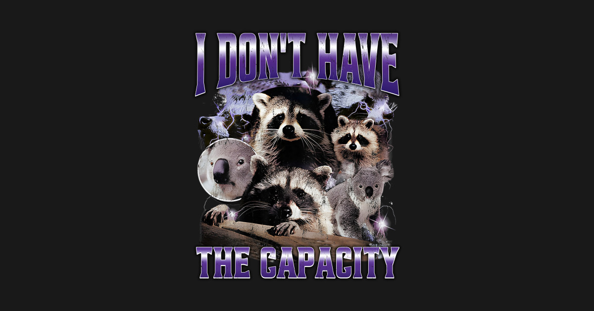 I Don't Have The Capacity Funny Raccoon Meme - I Dont Have The Capacity ...