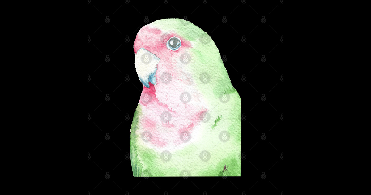 watercolor lovebird inséparable painting portrait pink green bird ...