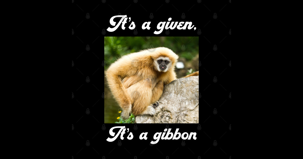 It’s a gibbon - Gibbon - Sticker | TeePublic