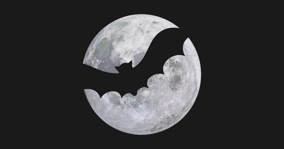 Bat Flying Across the Full Moon - Bat Flying Across The Full Moon - T ...
