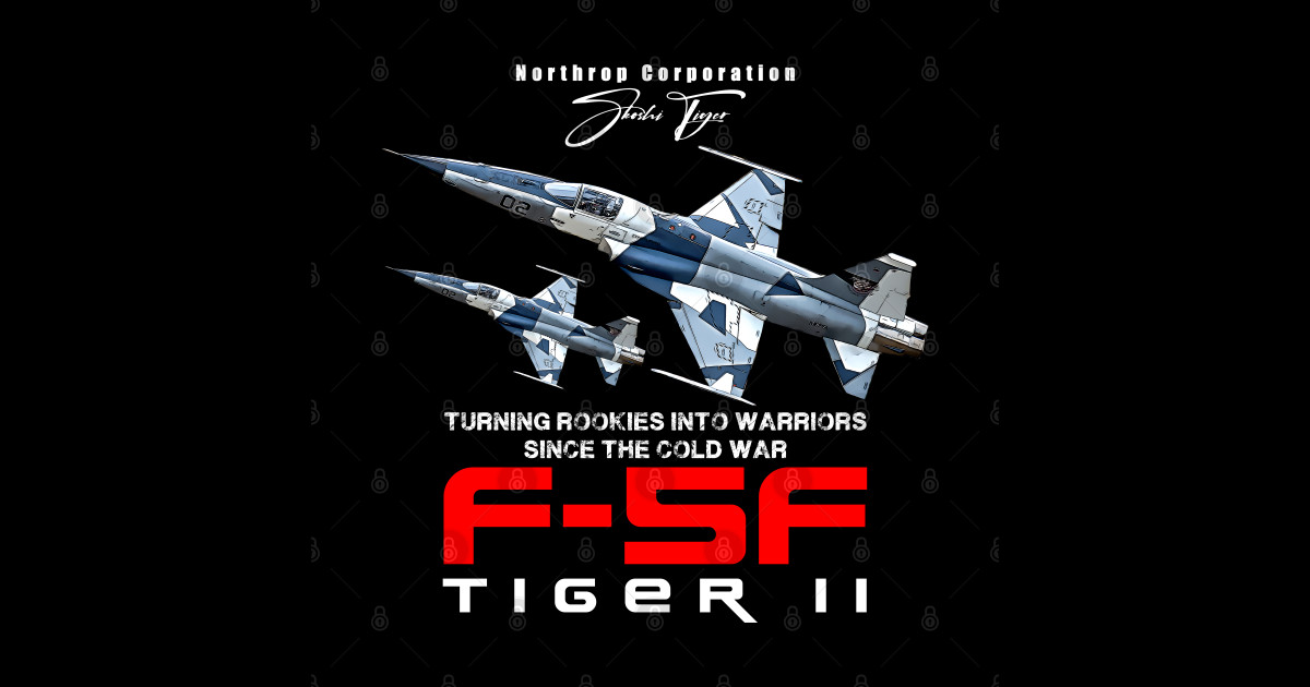 F5 Northrop Tiger II Supersonic Light Fighter Aircraft - F5 Northrop ...