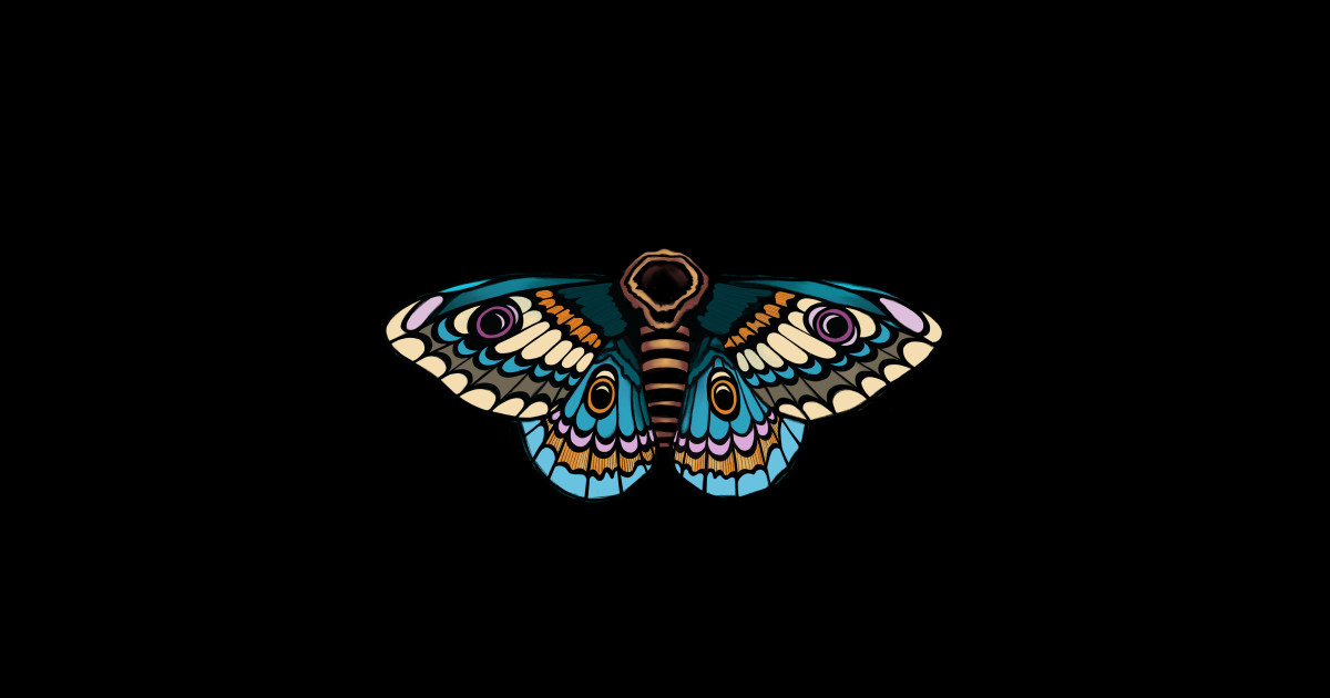 Moth Butterfly Design - Moth Design - Sticker | TeePublic