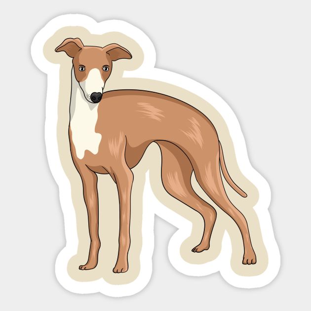 Greyhound dog cartoon illustration - Greyhound Dog Cartoon Illustration ...