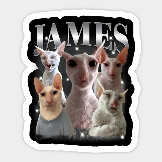 JAMES Cats Funny Face Bootleg Y2K Funny Meme - Funny Cat - Sticker ...