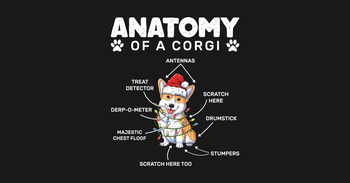 Corgi Anatomy - Corgi Dad - T-Shirt | TeePublic