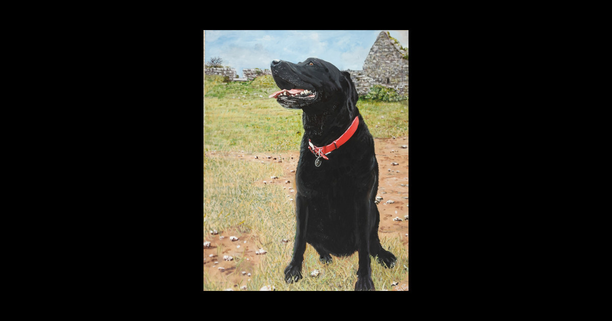 Jet the black Labrador on Berry head Brixham Devon - Dog - Sticker ...