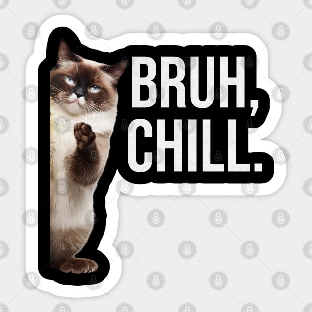Funny Cat Meme Bruh Chill - Bruh Meme - Sticker | TeePublic