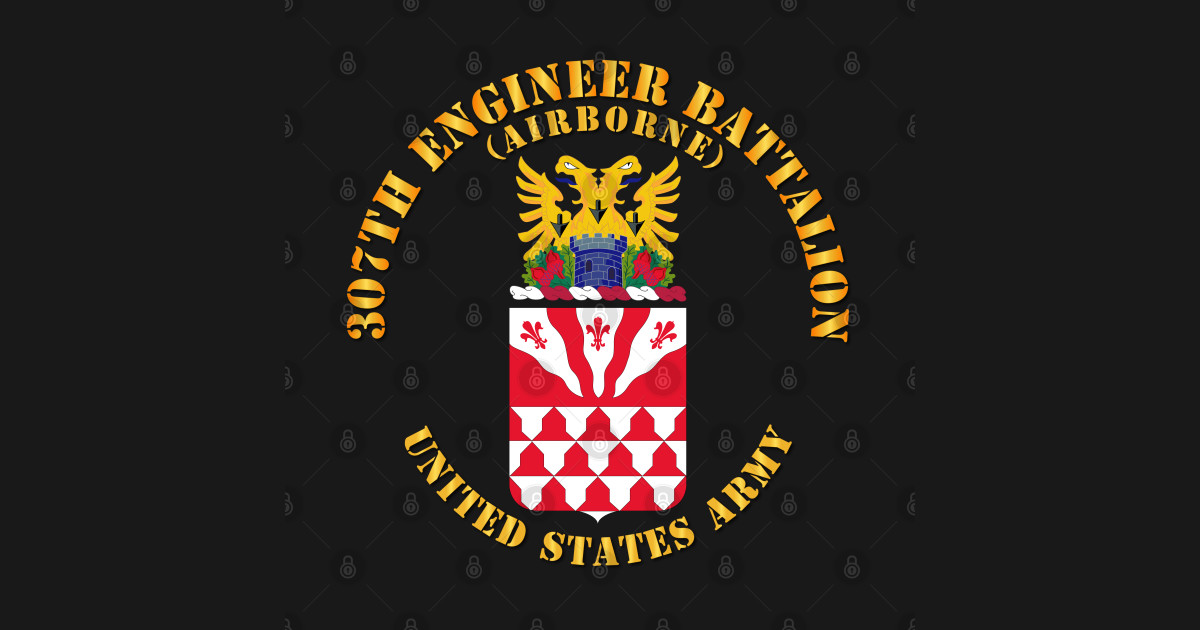 COA - 307th Engineer Battalion (Airborne) - 307th Engineer Battalion ...