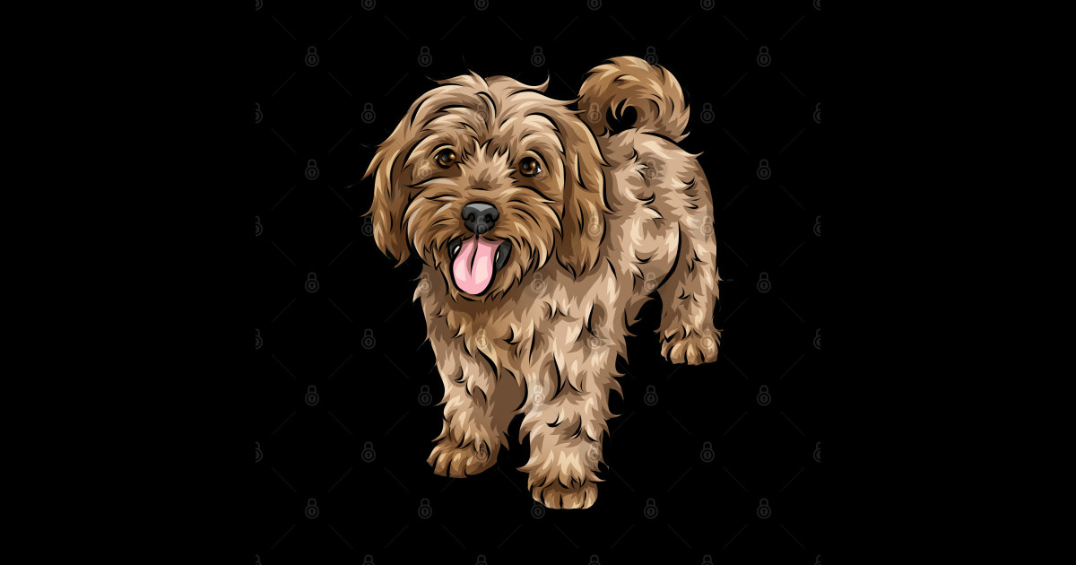 Ginger Cavapoo Dog - Cavapoo - Sticker | TeePublic