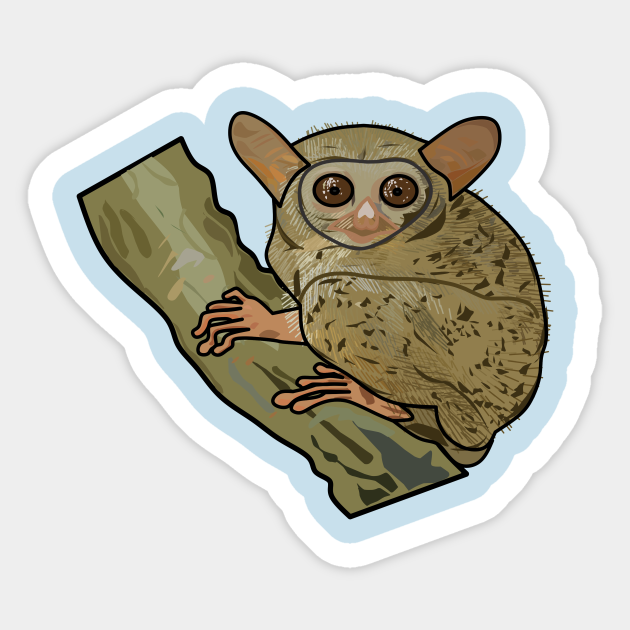Tarsier cartoon illustration - Tarsier Cartoon Illustration - Sticker ...