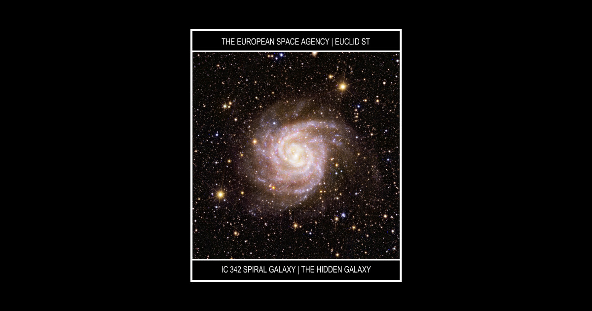 Euclid IC 342 Poster - Euclid Telescope - Sticker | TeePublic