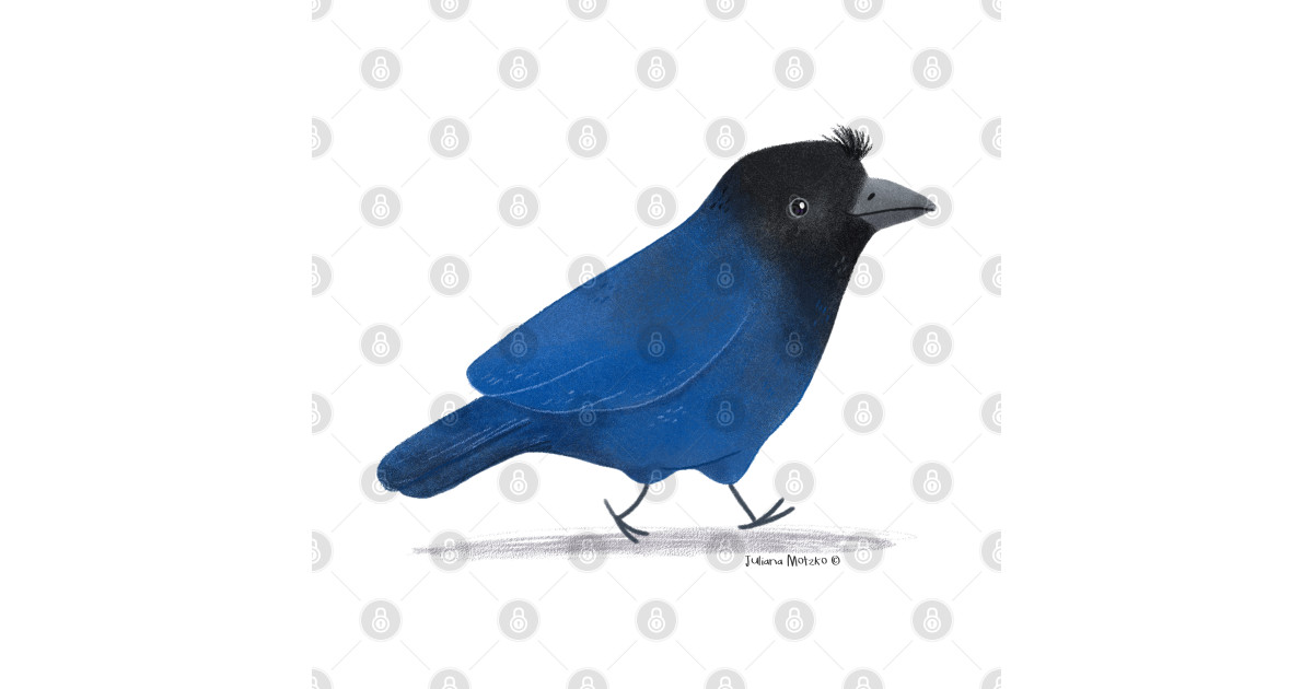 Azure Jay Bird - Azure Jay - T-Shirt | TeePublic