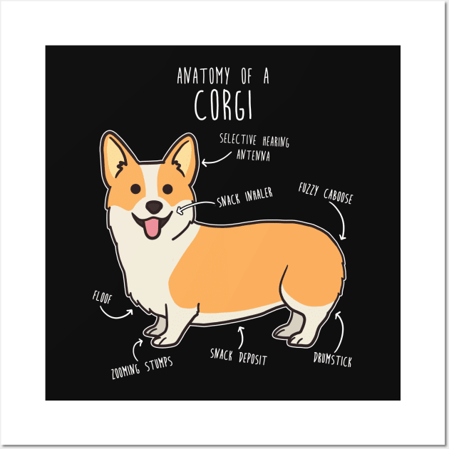Corgi Anatomy - Corgi - Posters and Art Prints | TeePublic