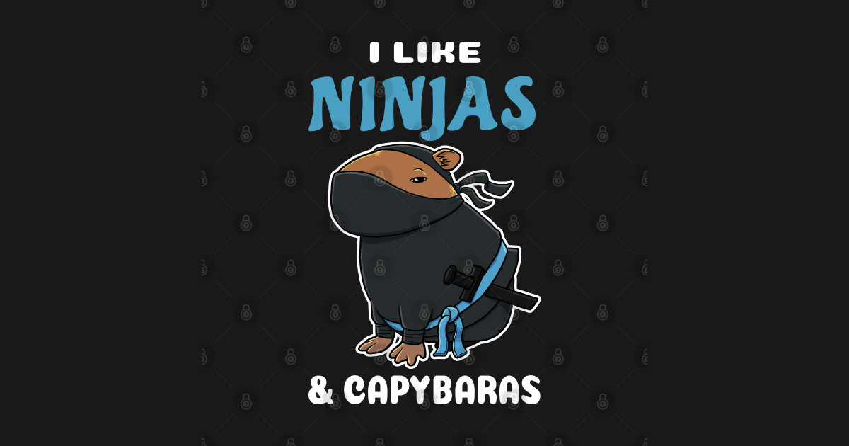 I Like Ninjas and Capybaras Cartoon - Funny Capybara - T-Shirt | TeePublic