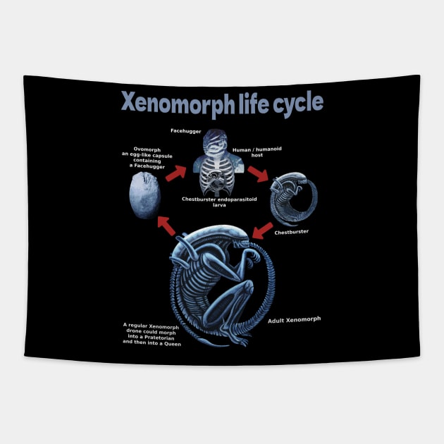 Xenomorph life cycle - Xenomorph - Tapestry | TeePublic