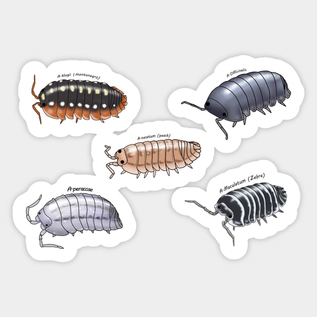 Isopod sticker pack 1 - Isopod - Sticker | TeePublic