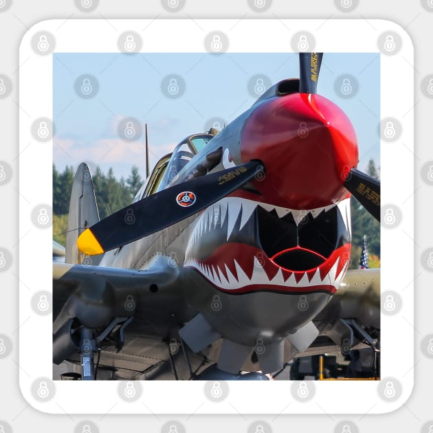 P-40E Shark-Mouth close-up - P 40 Warhawk - Sticker | TeePublic