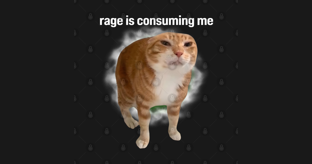 Rage is Consuming Me Silly Staring Cat Meme - Rage Is Consuming Me ...
