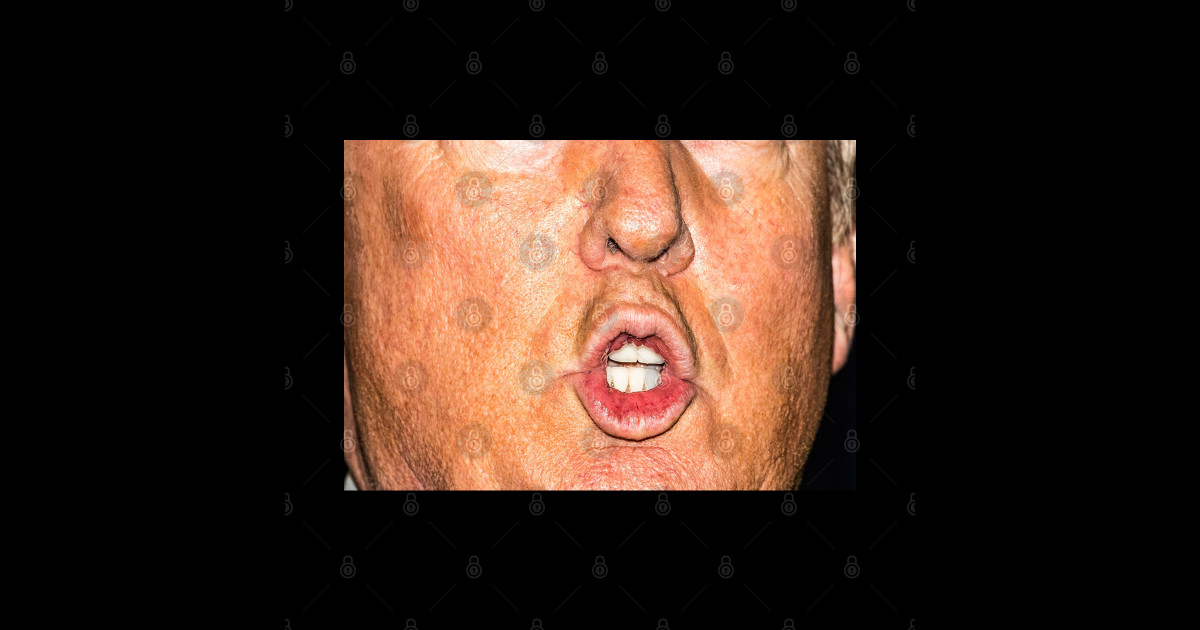 Donald Trump Face - Donald Trump - Sticker | TeePublic