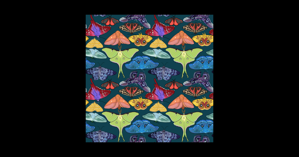 Pride Moth for Pride Month Rainbow on Teal - Pride - Sticker | TeePublic