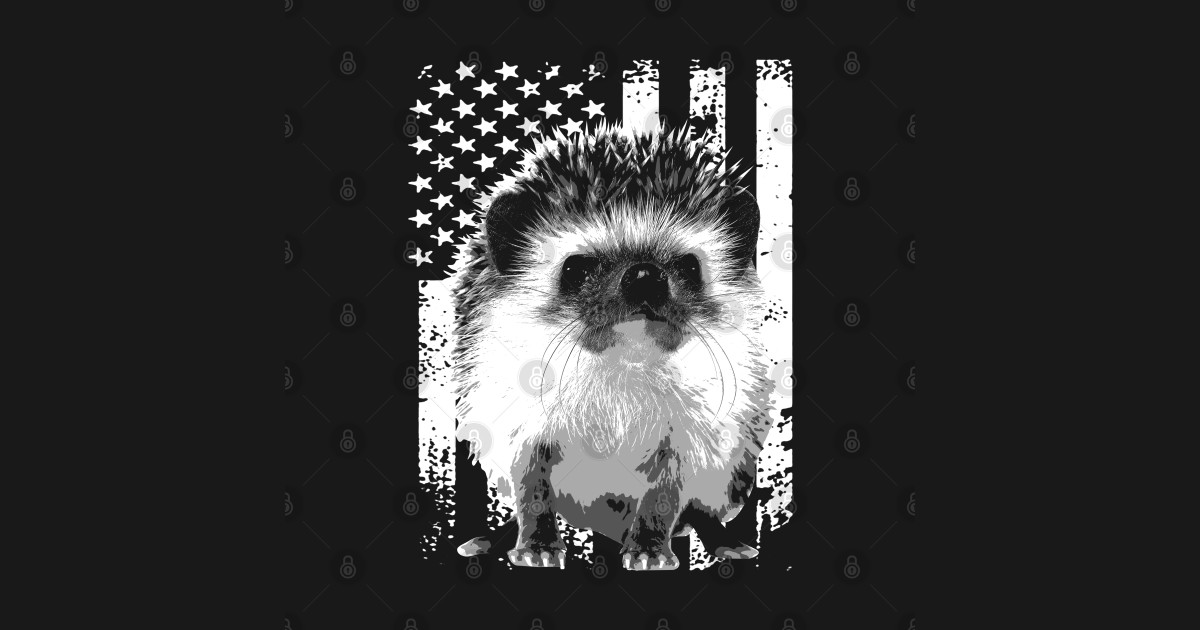 Hedgehog American Flag Tees Inspired by Adorable Spiky Friends ...