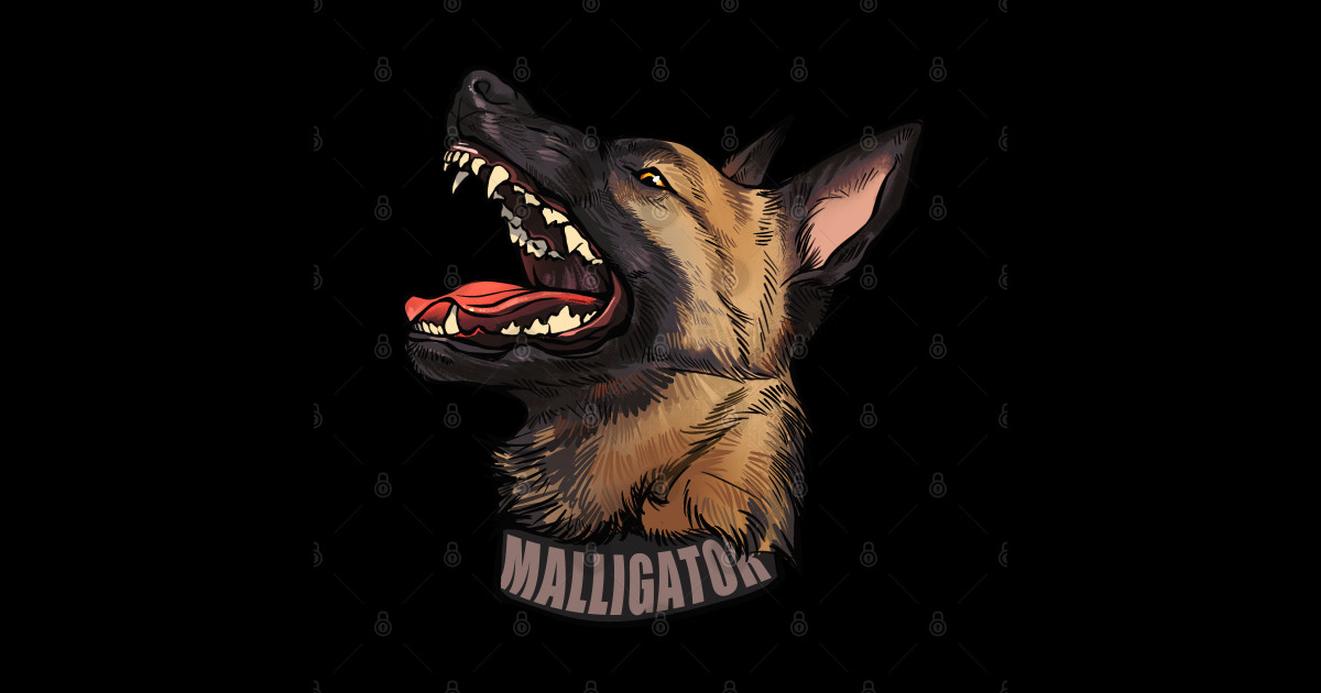 Malligator malinois - Malinois Dog Pup Puppy K9 - Posters and Art ...
