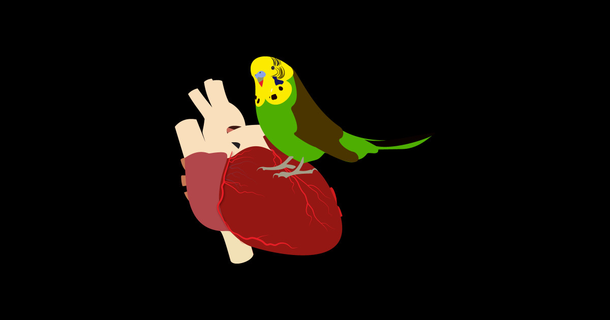 Budgie Heart - Parakeet Lover - Sticker | TeePublic