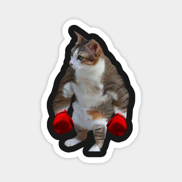 cat shitpost meme, funny memes - Cat Shitpost Memes - Magnet | TeePublic