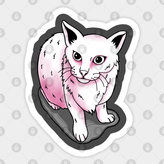Cute white cat - Cat - Sticker | TeePublic