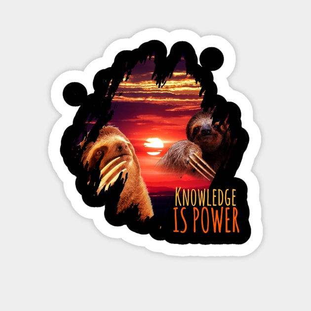 Knowledge Is Power Sloth - Sloth - Sticker | TeePublic