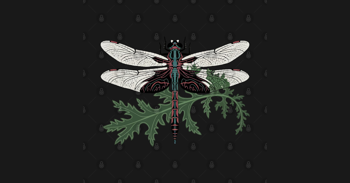 Spatterdock Dragonfly Art | Nature-Inspired Illustration - Spatterdock ...
