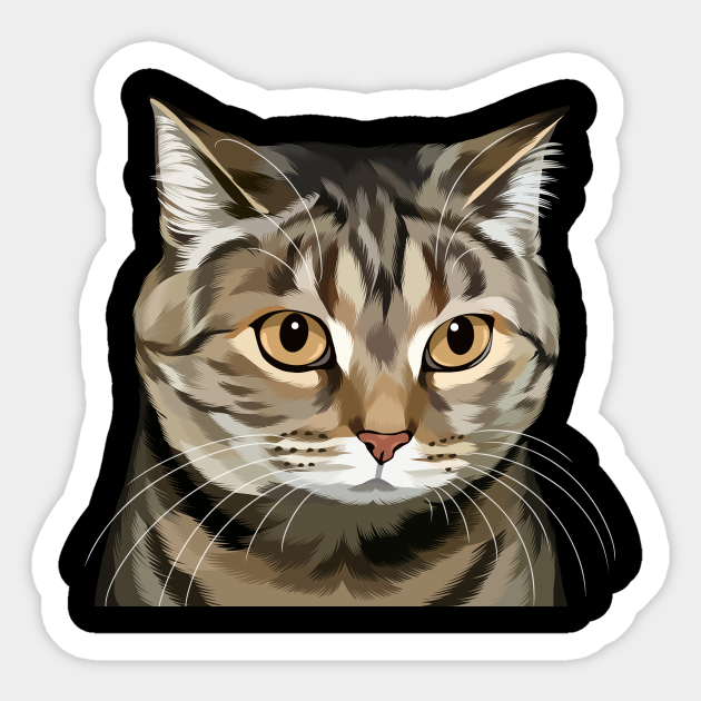 Grey Cat - Cat - Sticker | TeePublic