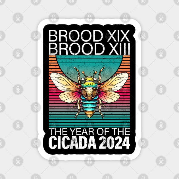 Cicada Brood Xix Brood Xiii Year Of The Cicada 2024 - Cicada Lover ...