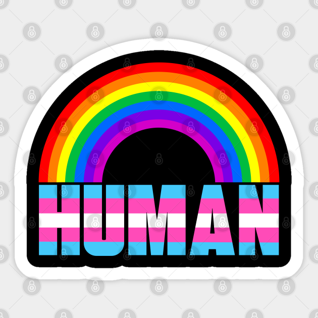 Transgender Pride Rainbow Flag - Transgender Pride - Sticker | TeePublic