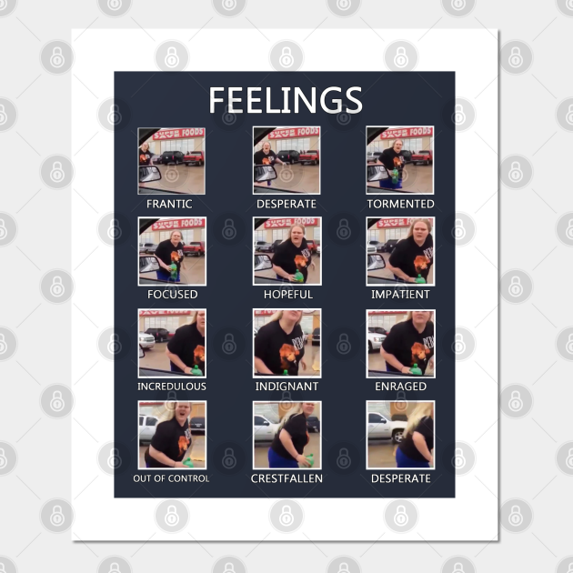 Feelings Chart - Funny Feelings Chart - Posters and Art Prints | TeePublic