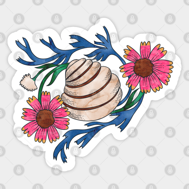 Pawleys Island Shell - Shell - Sticker | TeePublic