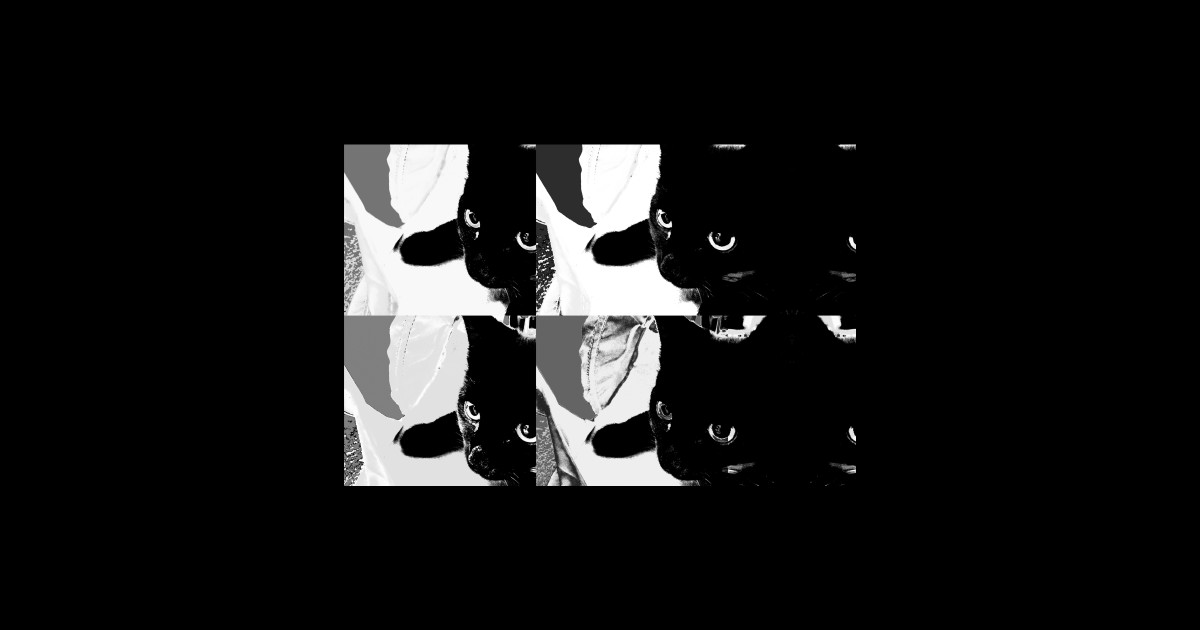 Ready to Pounce - Cute Black Kitten - Kitty Cat - Sticker | TeePublic