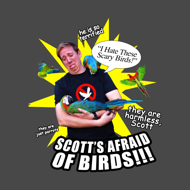 SCOTT IS AFRAID OF BIRDS - The Comedy Button - T-Shirt | TeePublic