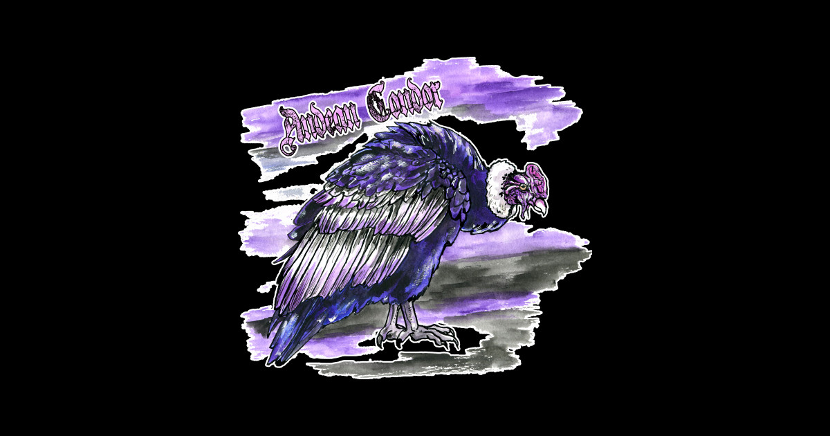 Pride Vulture: Asexual Andean Condor - Pride - Sticker | TeePublic