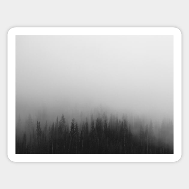 Minimal landscape in black and white. Forest - Forest - Sticker | TeePublic
