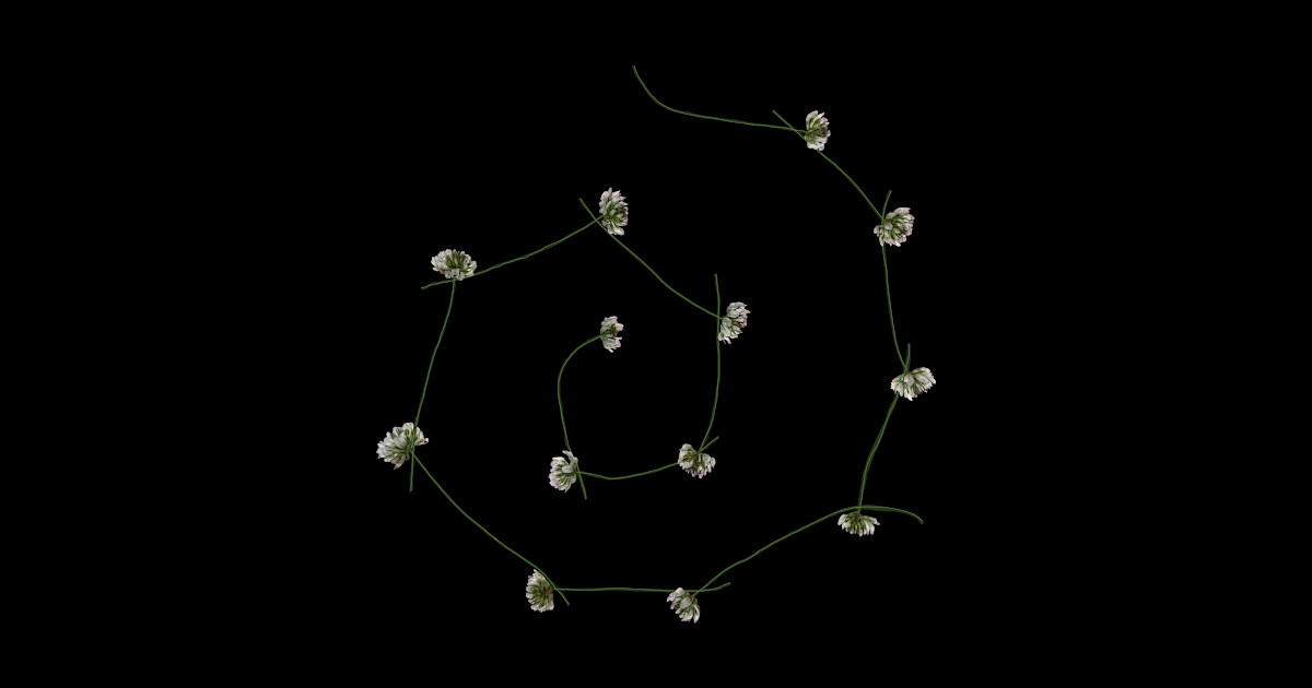 Daisy Chain - Daisy Chain - Posters and Art Prints | TeePublic