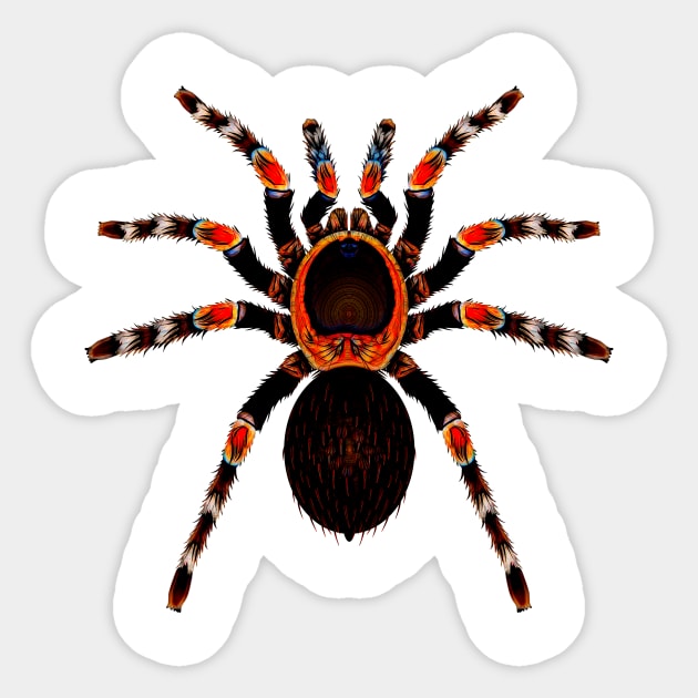 Funky Tarantula Spider - Spider - Sticker | TeePublic