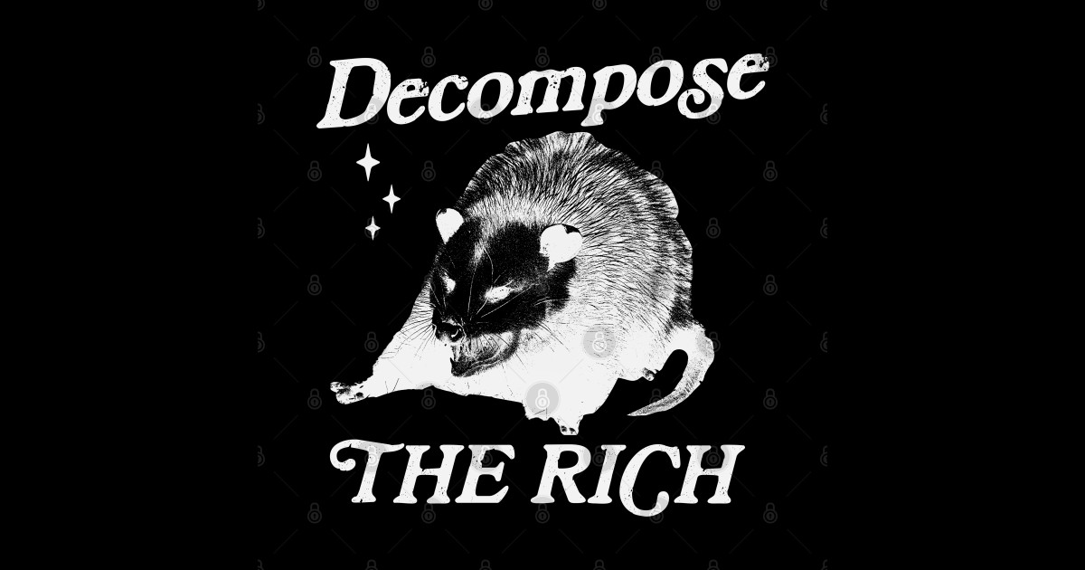 Decompose the Rich T-Shirt, Funny Opossum Meme Shirt, Liberal Leftist ...