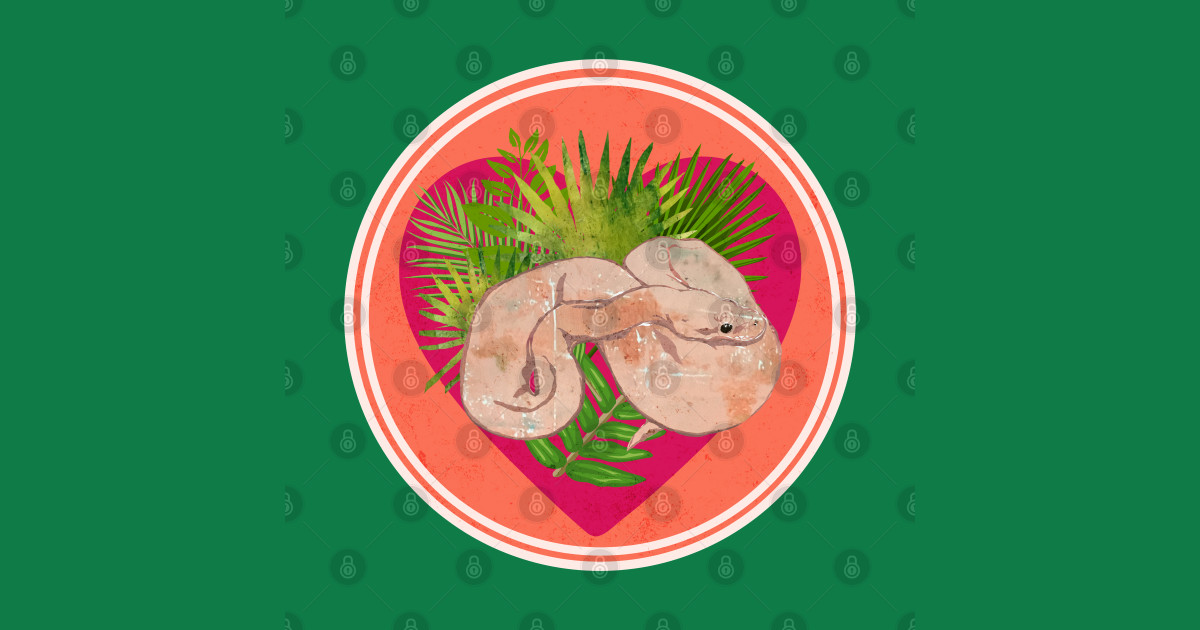 Ball Pythons are in my Heart - Snake - T-Shirt | TeePublic