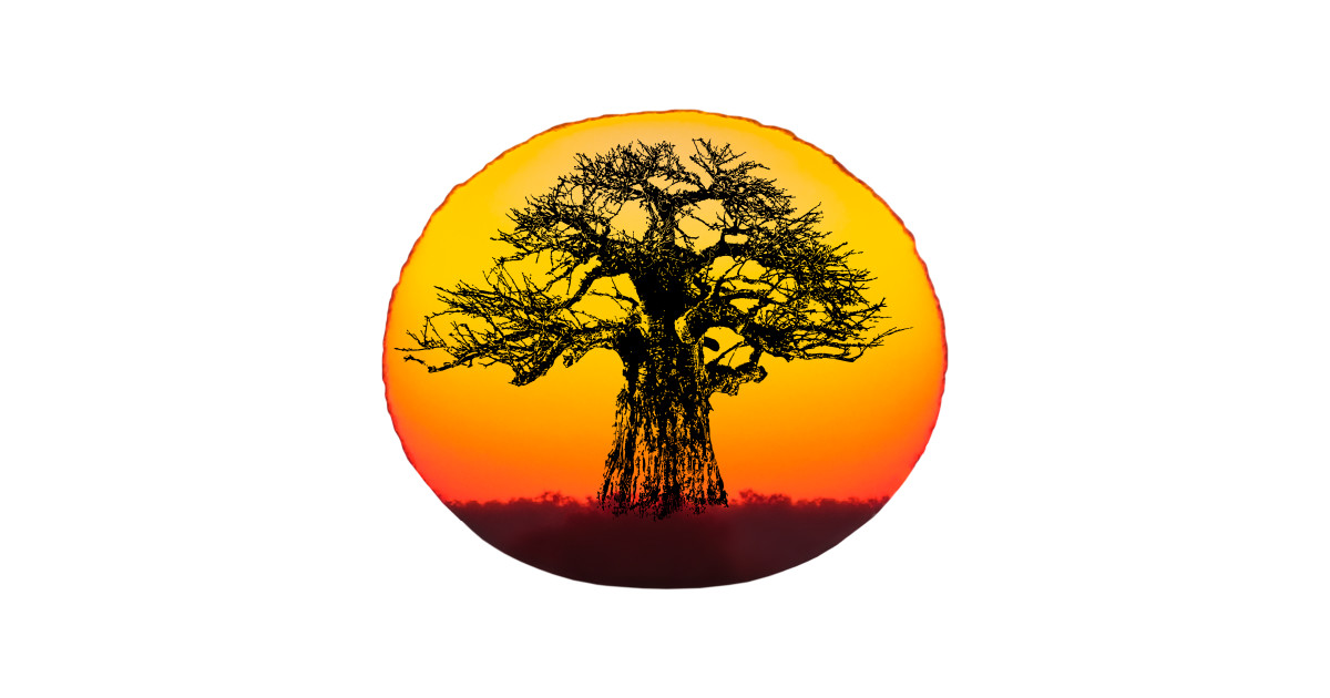 Baobab Tree at Sunset for Africa Fans - Sunset - T-Shirt | TeePublic