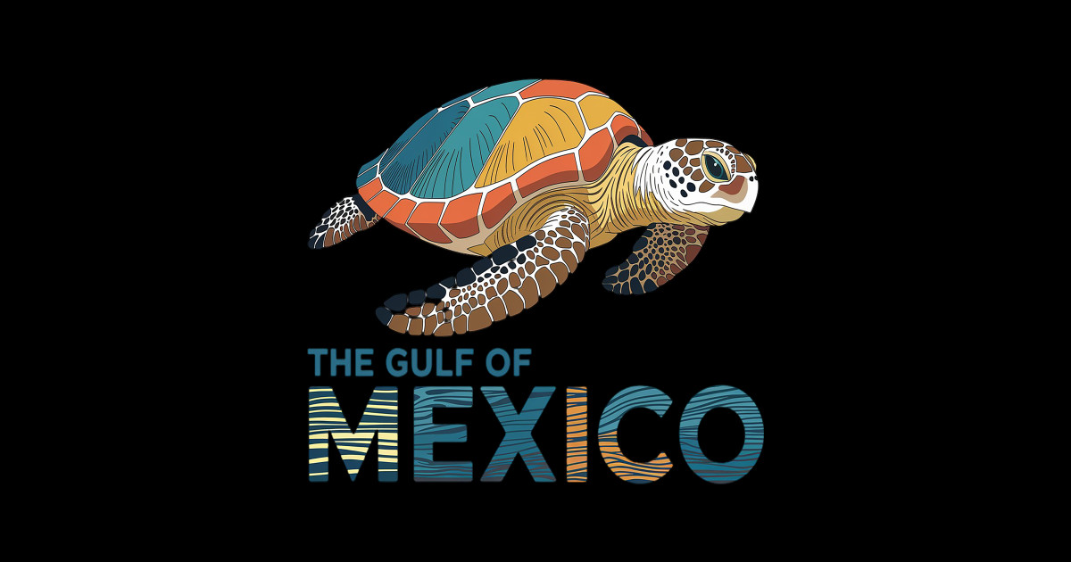 The Gulf Of Mexico Turtle Colorful - The Gulf Of Mexico Turtle Colorful ...
