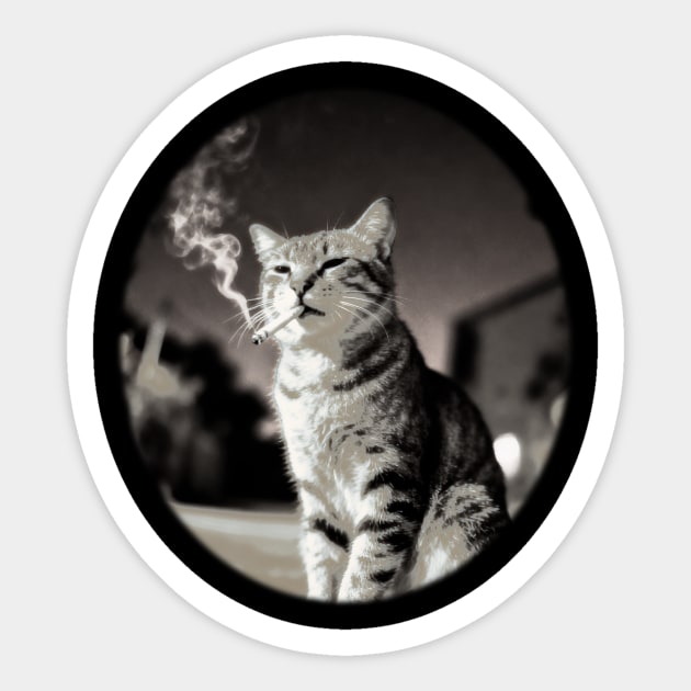 Funny Smoking Cat Cigarette Kitty Gen Z Meme - Smoking Cat - Sticker ...