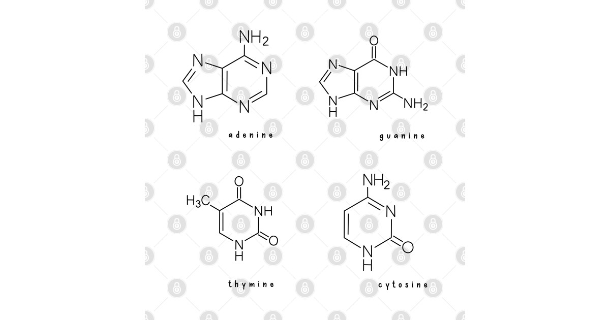 Hand Drawn DNA ACTG Acid Pack - Chemical Element - T-Shirt | TeePublic